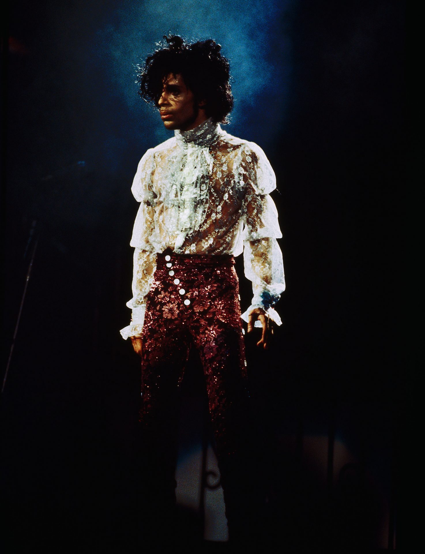 Prince 1© The Prince Estate Photographer Nancy Bundt - Wiener Online
